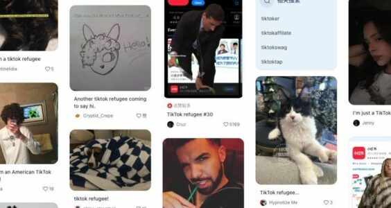 声道｜Tiktok难民涌入小红书，别高兴的太早