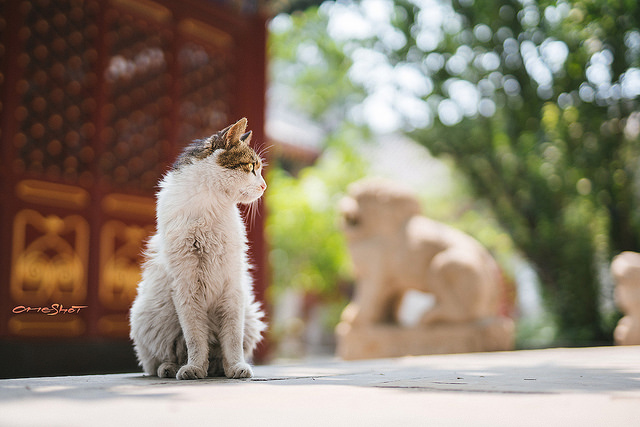 Photo: Untitled, by Arthur Xu Yang