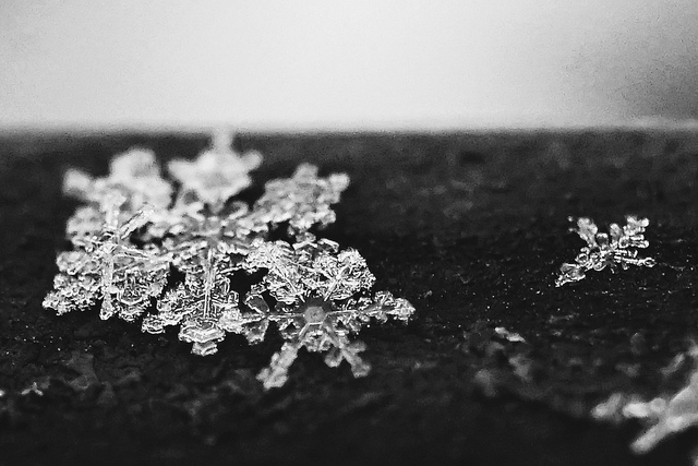 Photo: Snowflakes (Beijing), by cooku wei